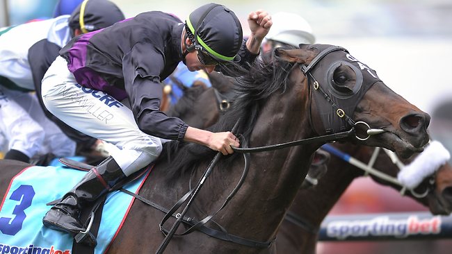 Racing: Fiorente wins Australia's Melbourne Cup