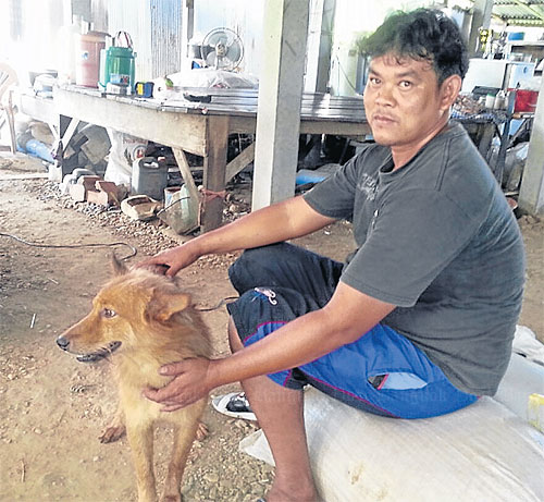 Thailand's top 5 heart-warming stories of the year