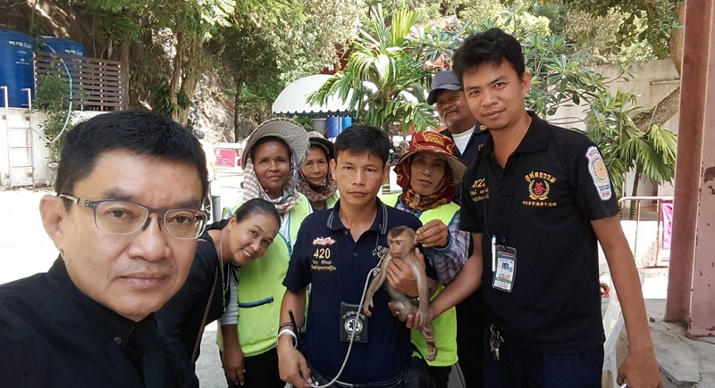 Orphaned baby macaque taken into protection at non-hunting area in Phuket