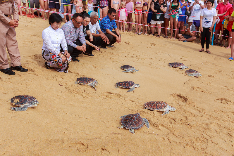 Assuring an ecological future: Mai Khao Marine Turtle Foundation hold ...