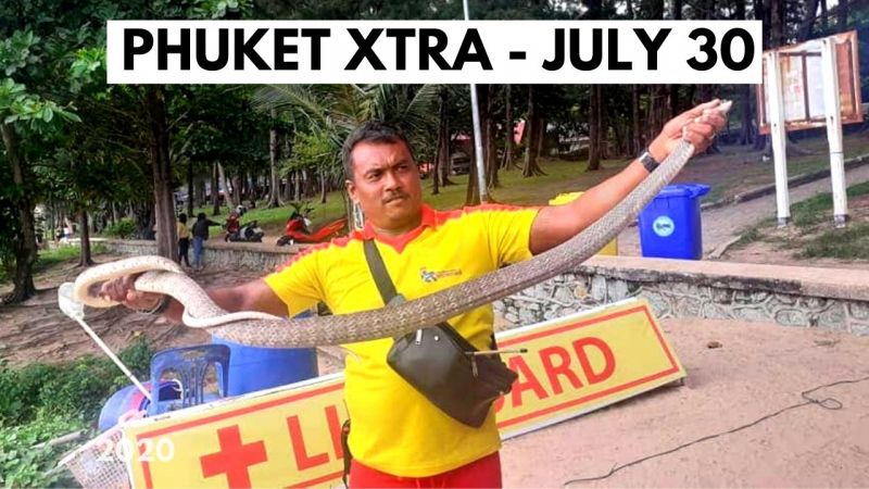PHUKET XTRA: VIDEO: Two large snakes caught at Nai Harn! Six new ...