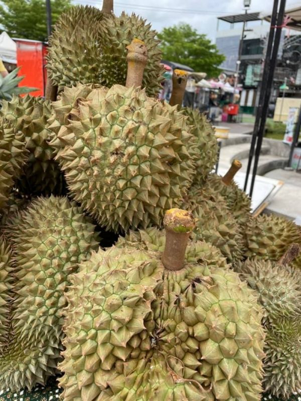 Phuket launches ‘Fruit Festival’