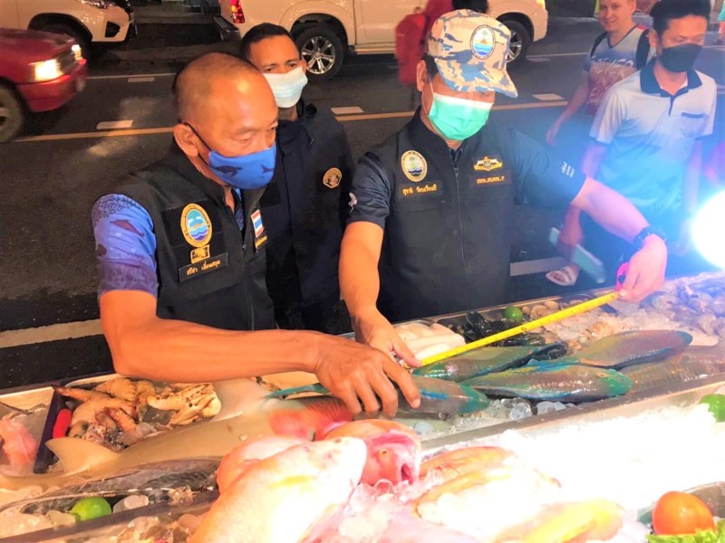 Restaurants caught selling parrotfish