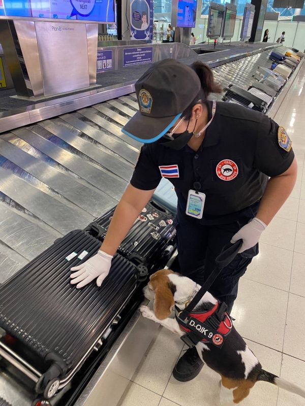 Tourists warned not to bring pork into Thailand