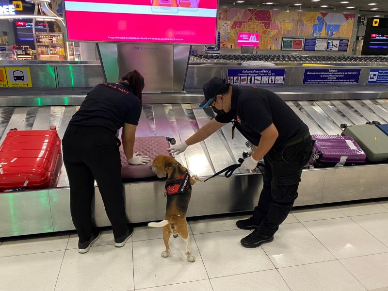 Tourists warned not to bring pork into Thailand